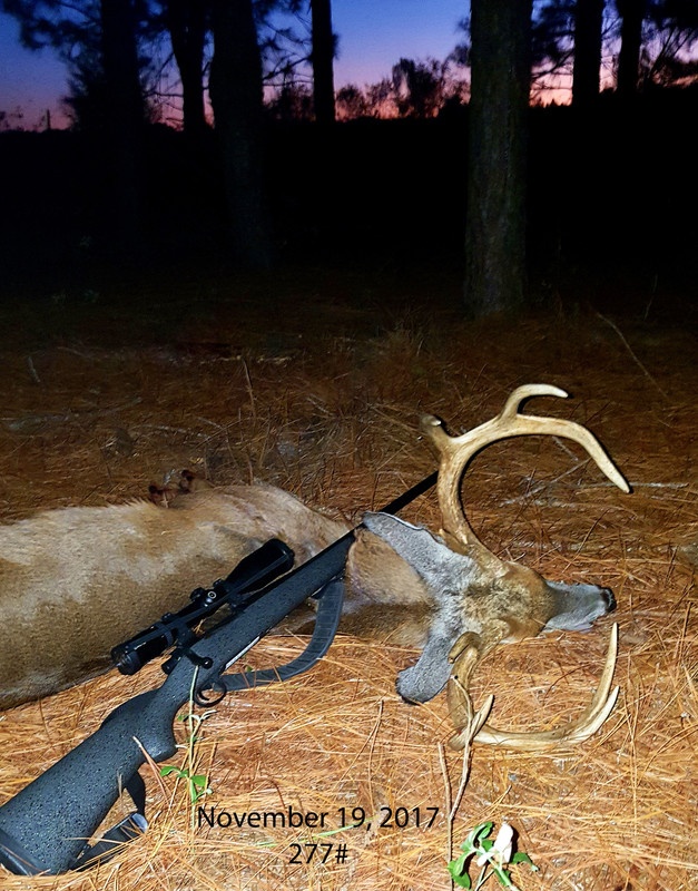 Best built 280 AI rifle? - 24hourcampfire