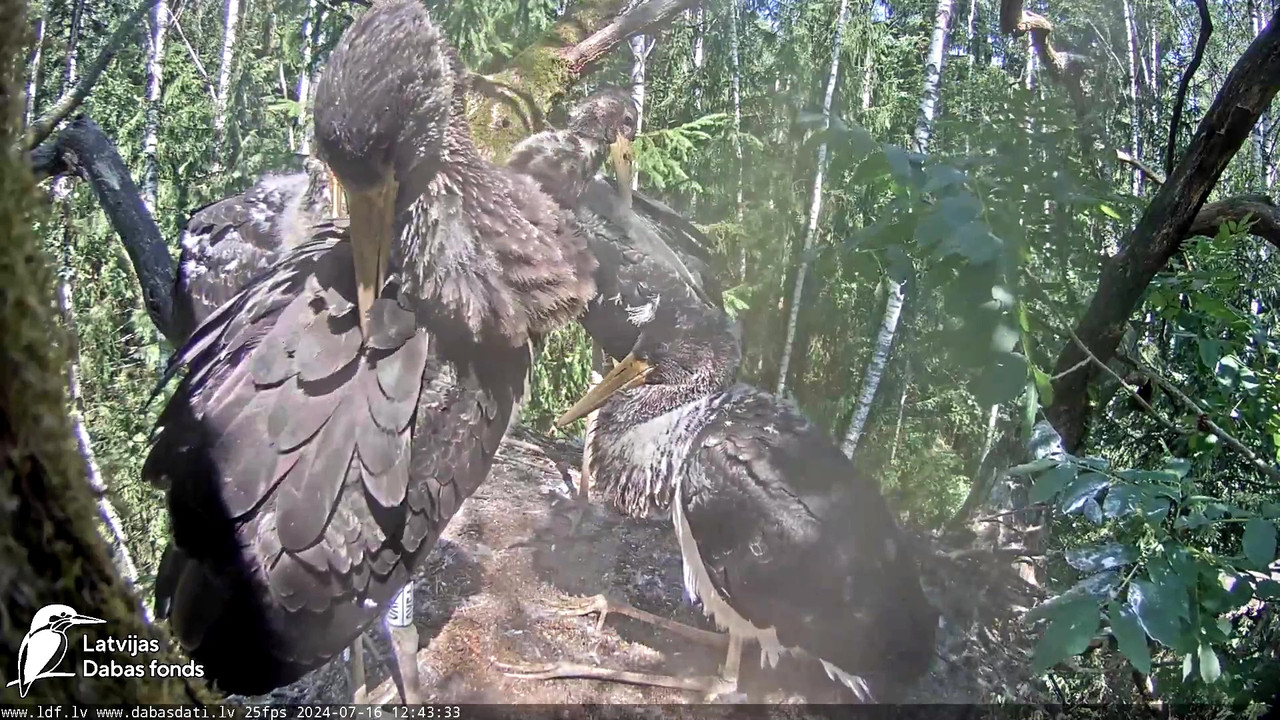 vlcsnap 2024 07 16 11h44m53s911 — Postimages