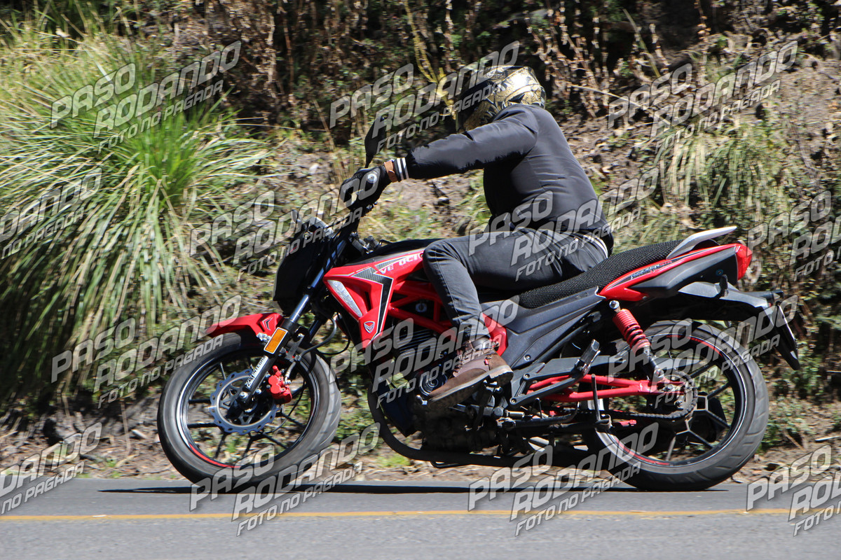 IMG 3839 wm 147206 60000000056 watermarked — Postimages