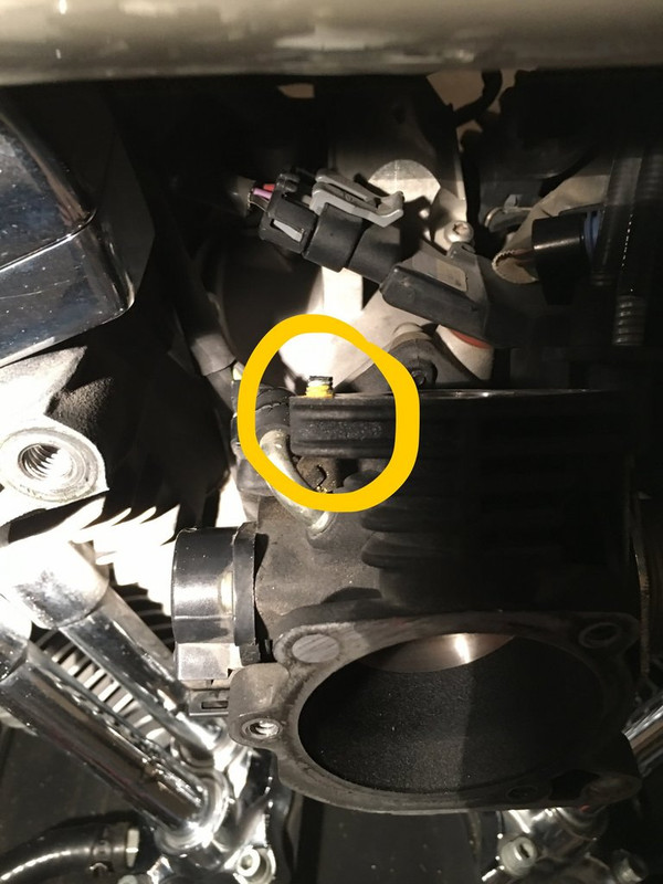 img 1337 b0a78e8ca90e4e2111f62390fbd21db8238014a8 — Postimages