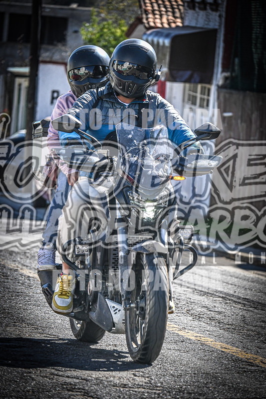 cch29d 117 — Postimages