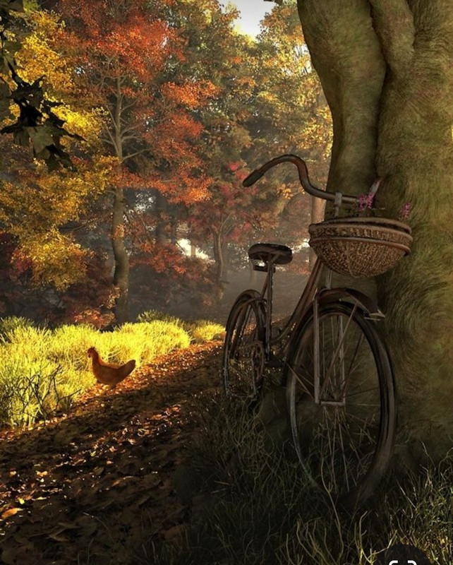 Screenshot 20231126 212808 Pinterest — Postimages