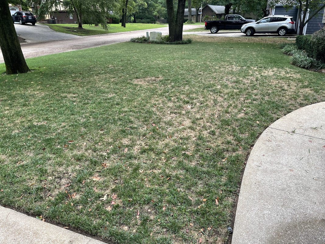 F9 BCBA5 D 4 BED 42 BD 9634 AA7106 D5685 B — Postimages