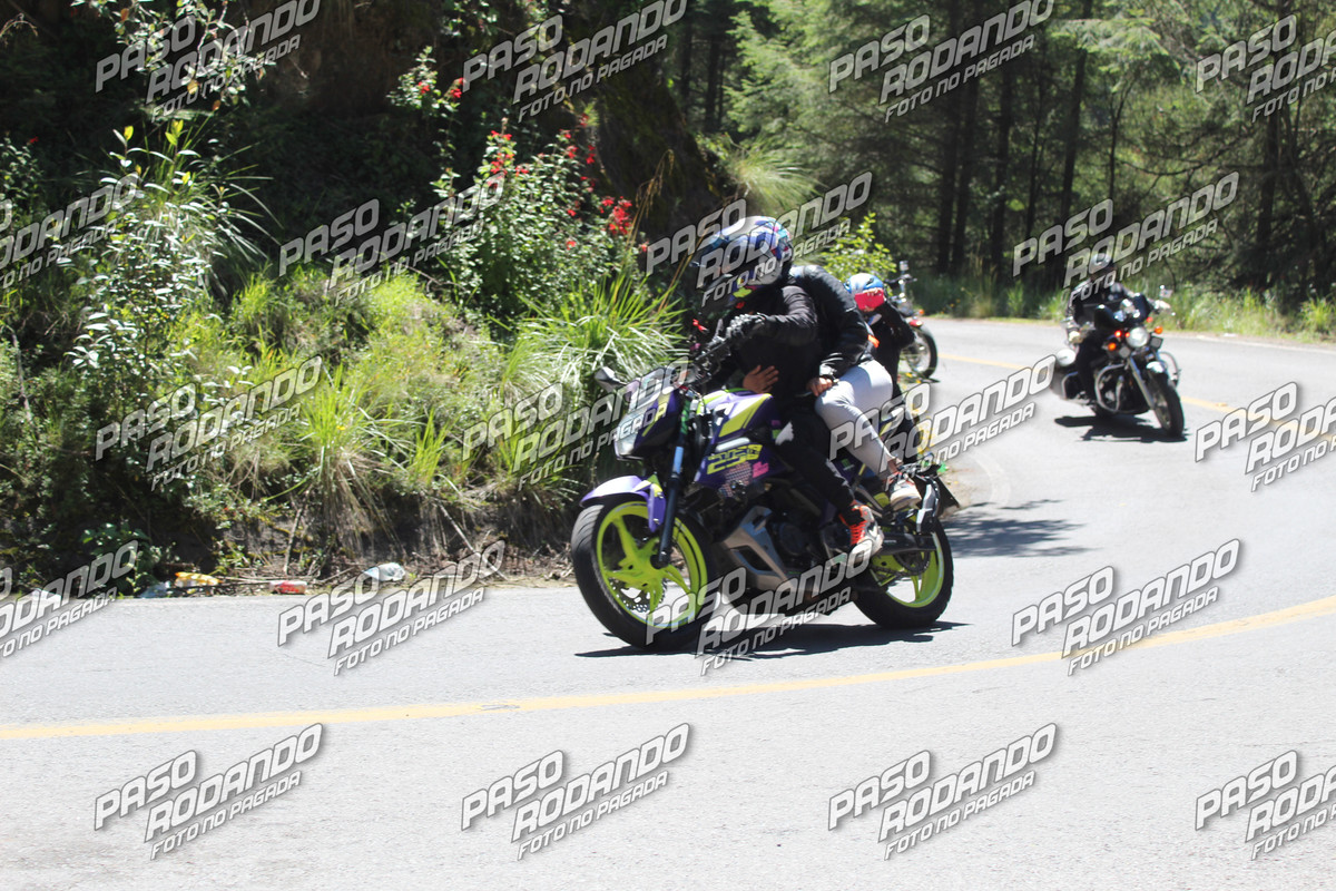 IMG 5956 wm 4506660 199999999 watermarked — Postimages