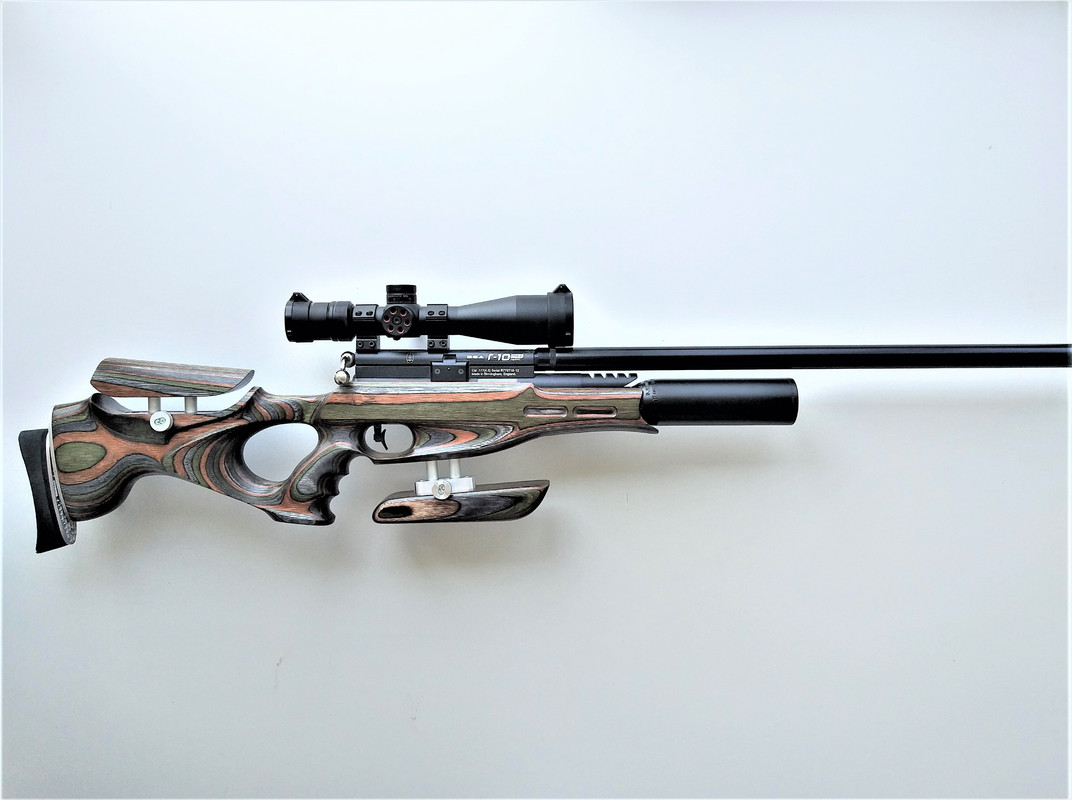 Laminated stock with hamster for BSA R10 MK2 | AirGun Forums the best ...