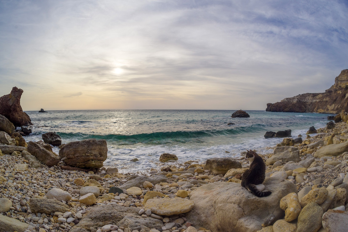 V0009180 1600 — Postimages