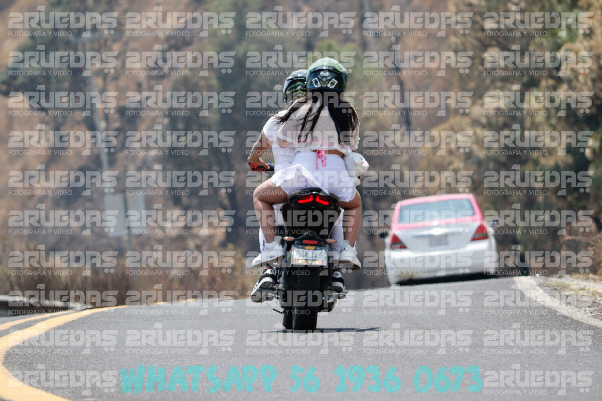 MG 1163 — Postimages