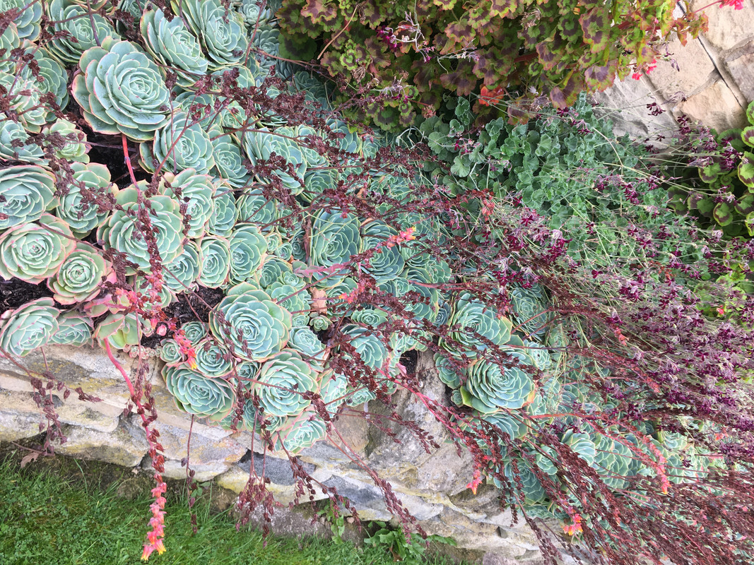 IMG 1728(1) — Postimages