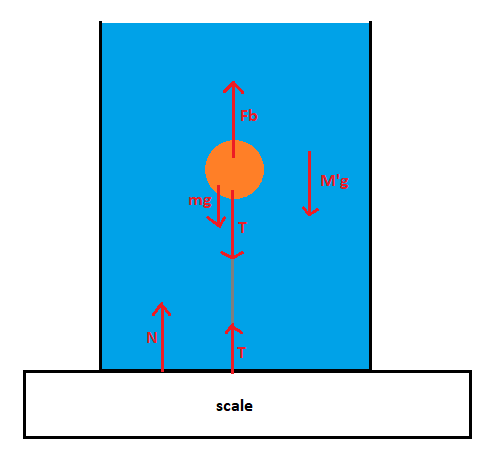 Ball in a container filled with liquid attached to a string : r/AskPhysics