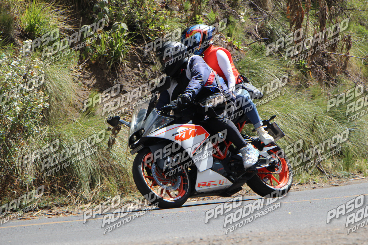 IMG 2119 wm 190648 watermarked — Postimages