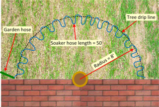 Can I make a multi-pronged drip line for an orange tree? | Page 2 | DIY ...