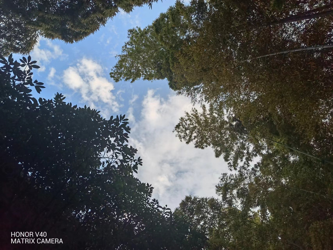 ps修的图 — Postimages