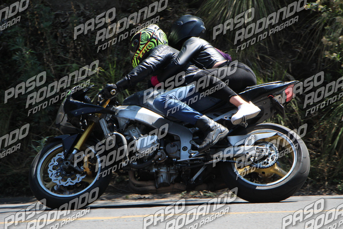 IMG 3404 wm 49106 19999999995 watermarked — Postimages