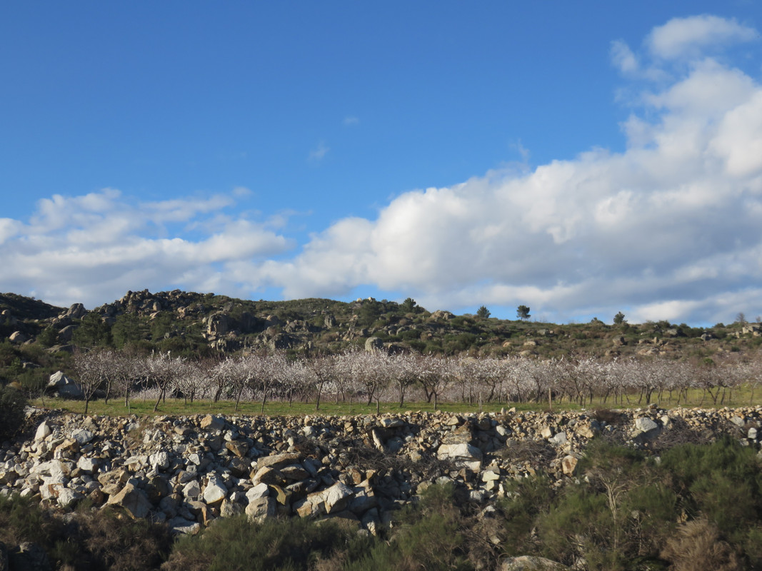 IMG 6676 — Postimages