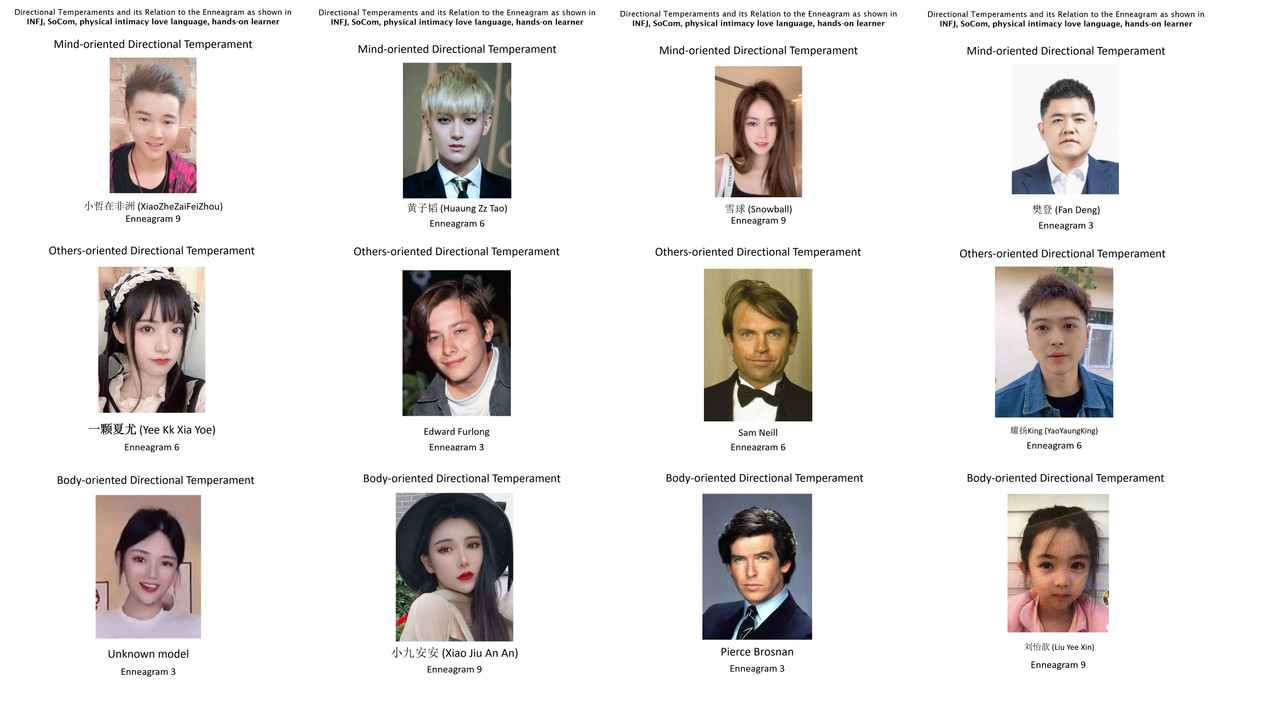 MBTI+ Directional Temperaments: Emotional Directions or Emotional ...