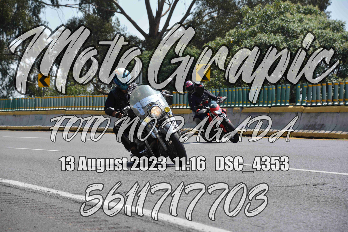 motgr DSC 4353 — Postimages