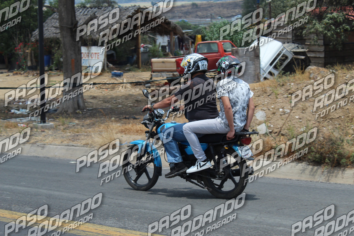 IMG 7265 wm 69286 watermarked — Postimages