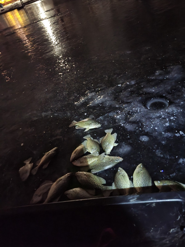 20220109 225123 — Postimages