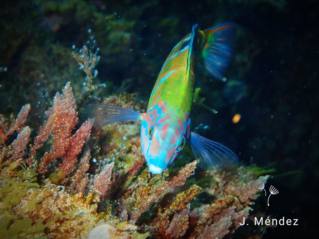 IMG 20231030 205116 — Postimages