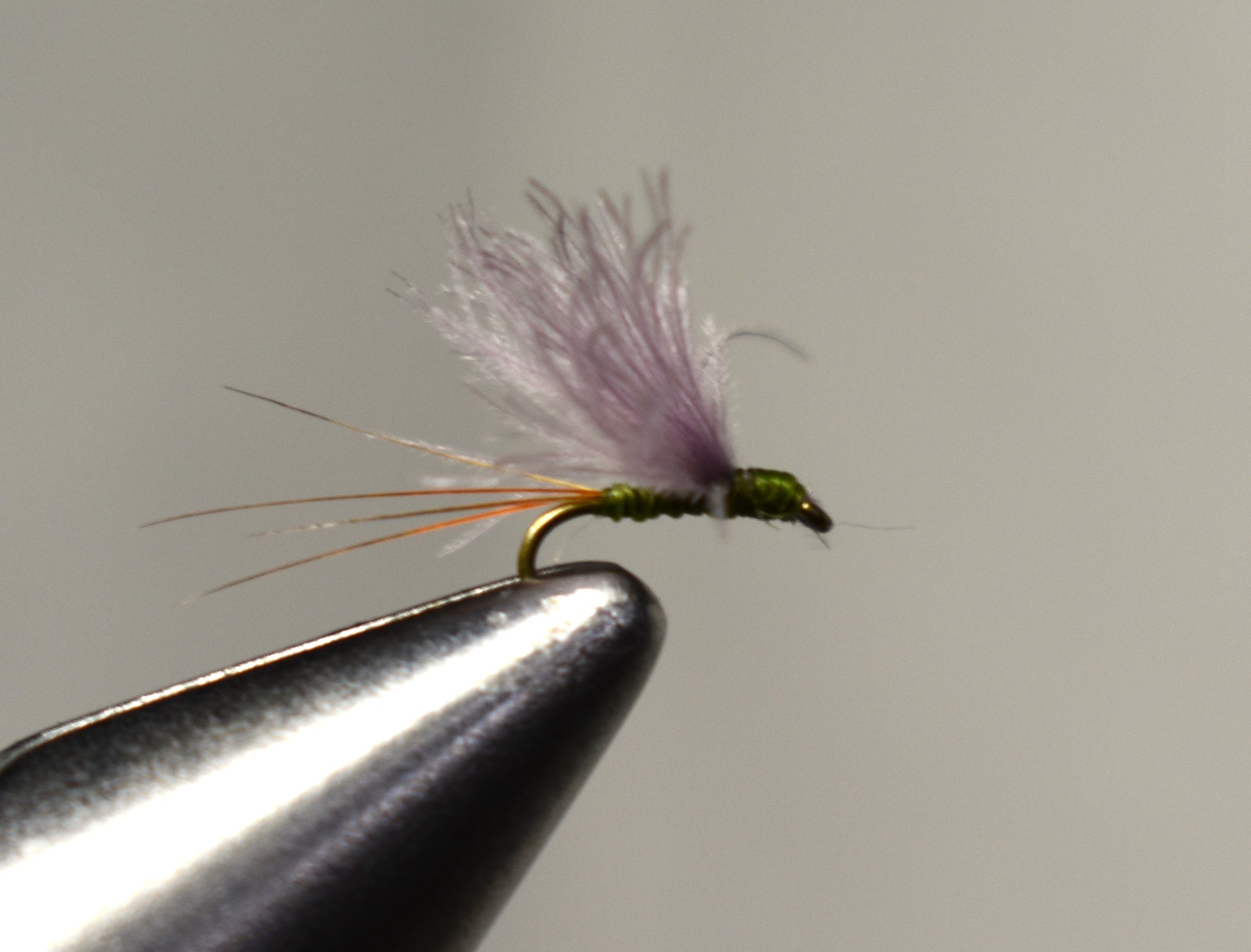 24 BWO — Postimages