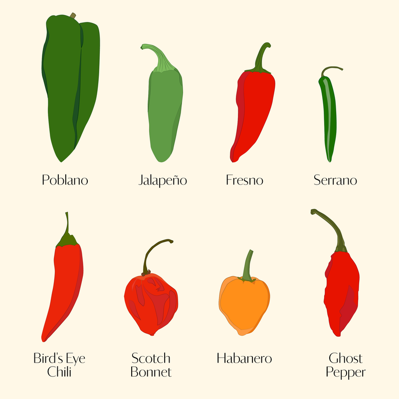 What makes it chili. > General Discussion > AR15.COM