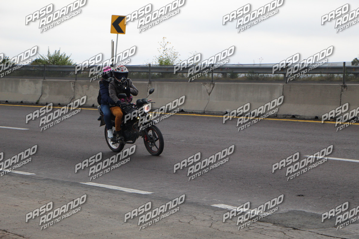 IMG 0396 wm 635181 7 watermarked — Postimages