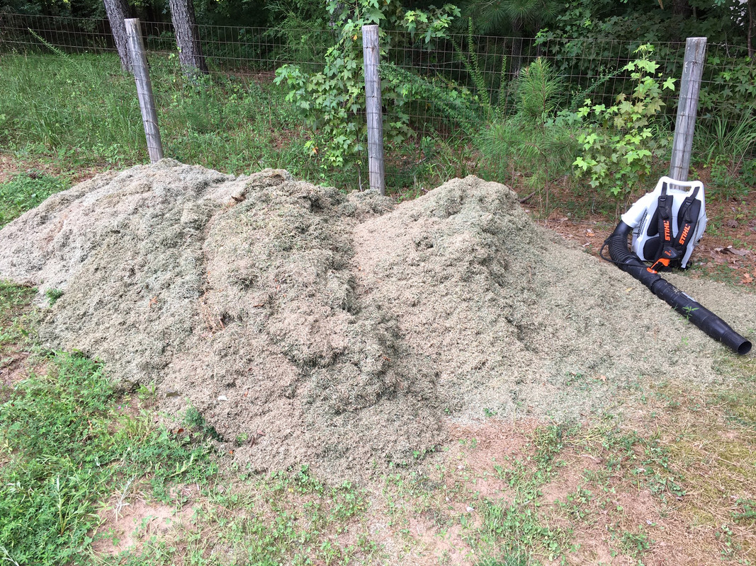 IMG 2572 — Postimages