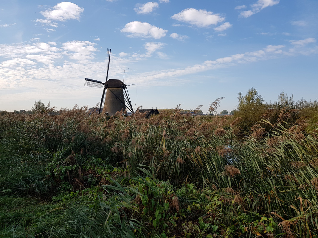Pieter 01 Nederwaard Molen No 8 Kinderdijk 16 10 2018 — Postimages