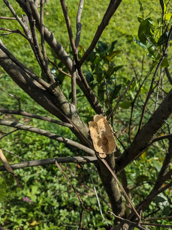 PXL 20231207 212347857 MP — Postimages