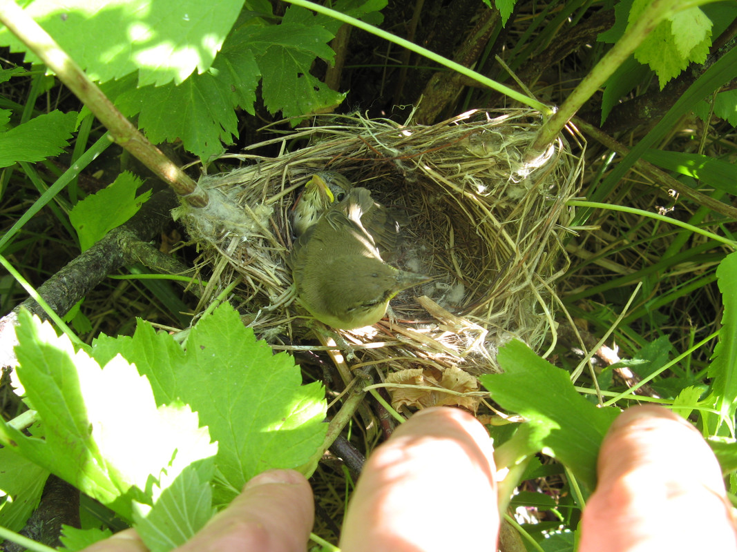 IMG 2743 — Postimages