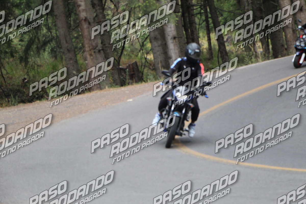 IMG 9275 wm 13581926 5 watermarked — Postimages