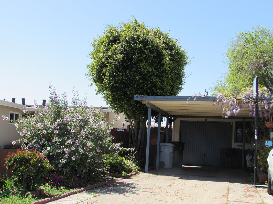 IMG 8921 — Postimages