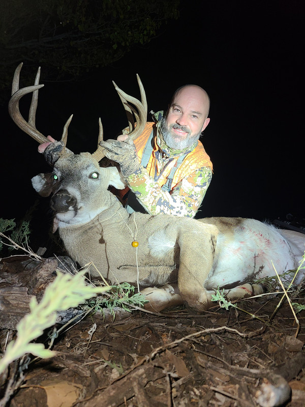 2022 Beaver — Postimages