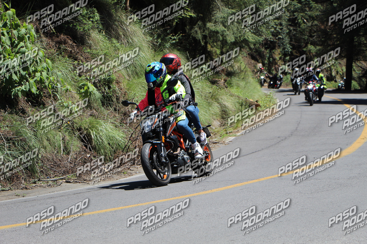 IMG 7604 wm 22931199 4 watermarked — Postimages