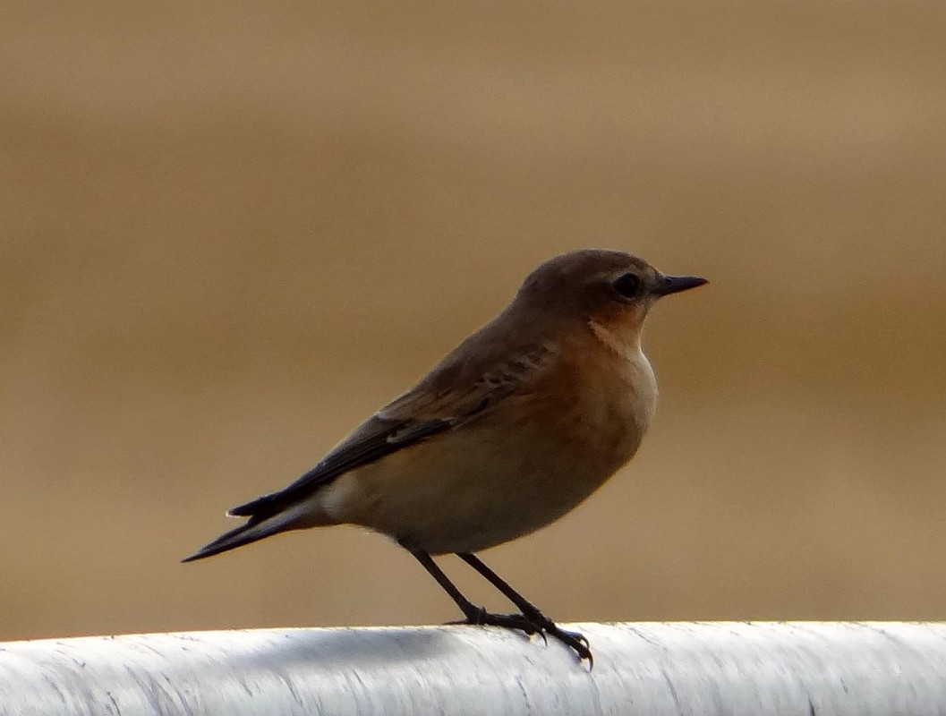 UNKNOWN 2 260823 — Postimages