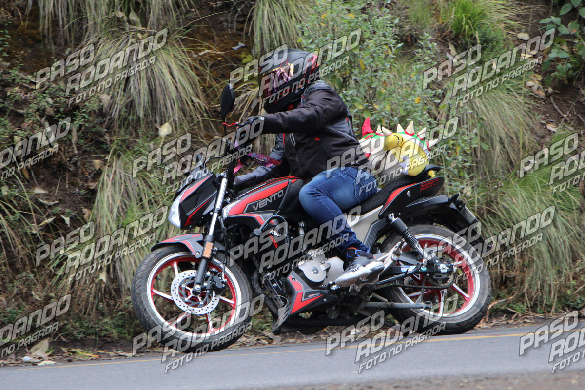 IMG 0254 wm 1994205 5 watermarked — Postimages