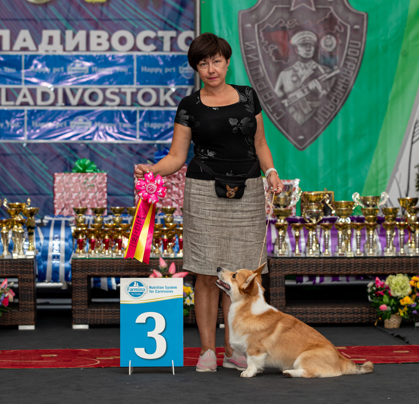 01 1237 — Postimages