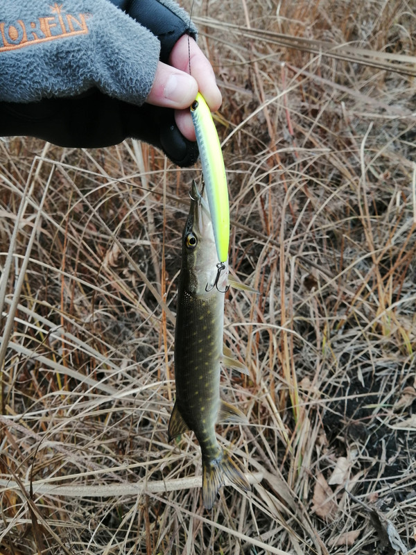 IMG 20211104 102831 — Postimages