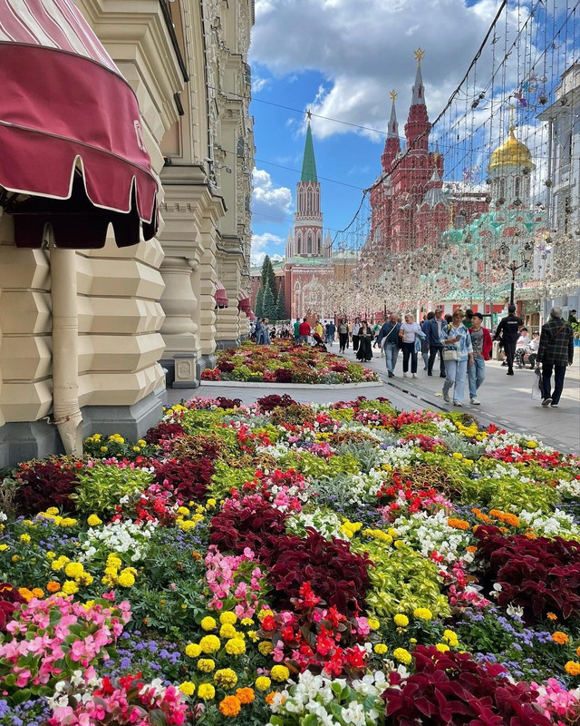 o W7 OWvl L2 g — Postimages