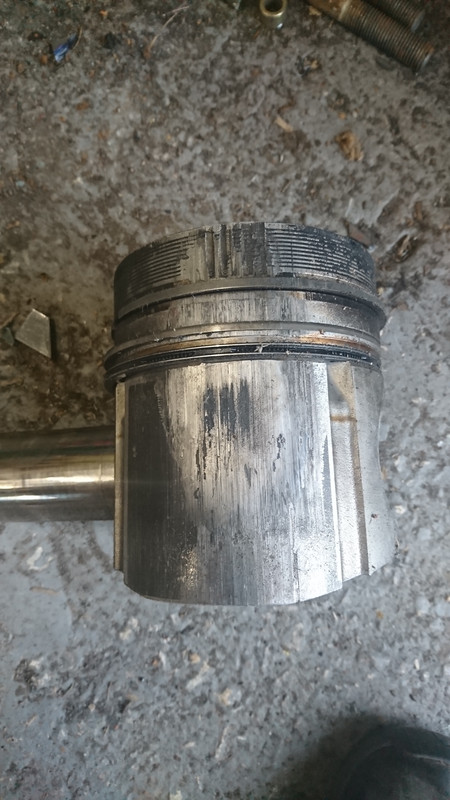 DSC 0061 — Postimages