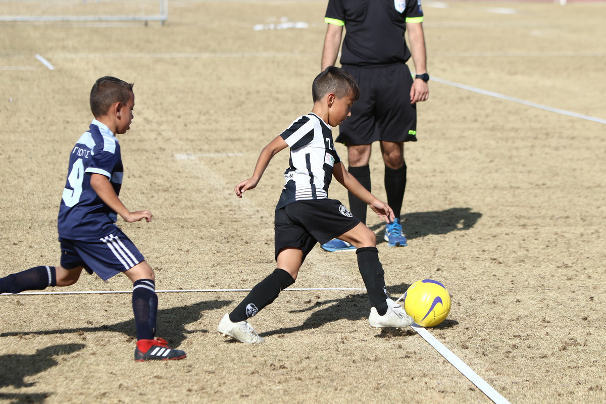 VIK 2775 — Postimages