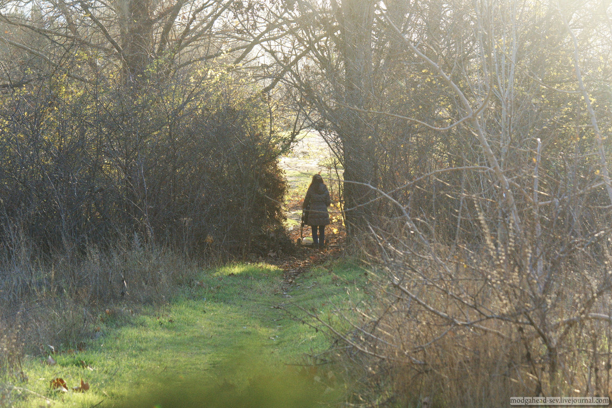 SAM 1006 full m1(6000) — Postimages