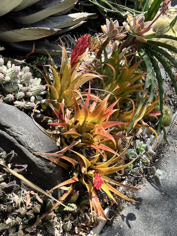 IMG 6620 — Postimages