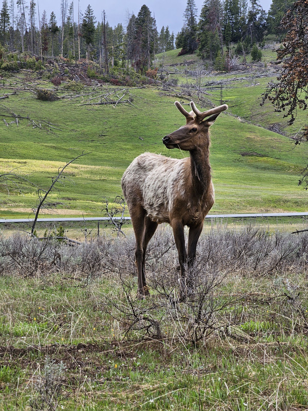 29 (3) — Postimages