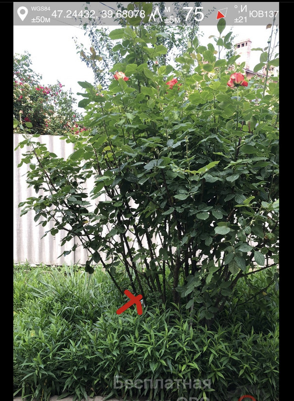 A2136 CBD 6 B95 4 F79 BDB4 E6773 D7323 FB — Postimages