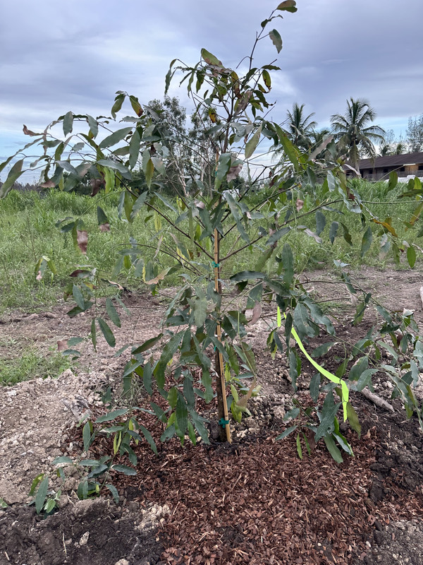 IMG 0953 — Postimages