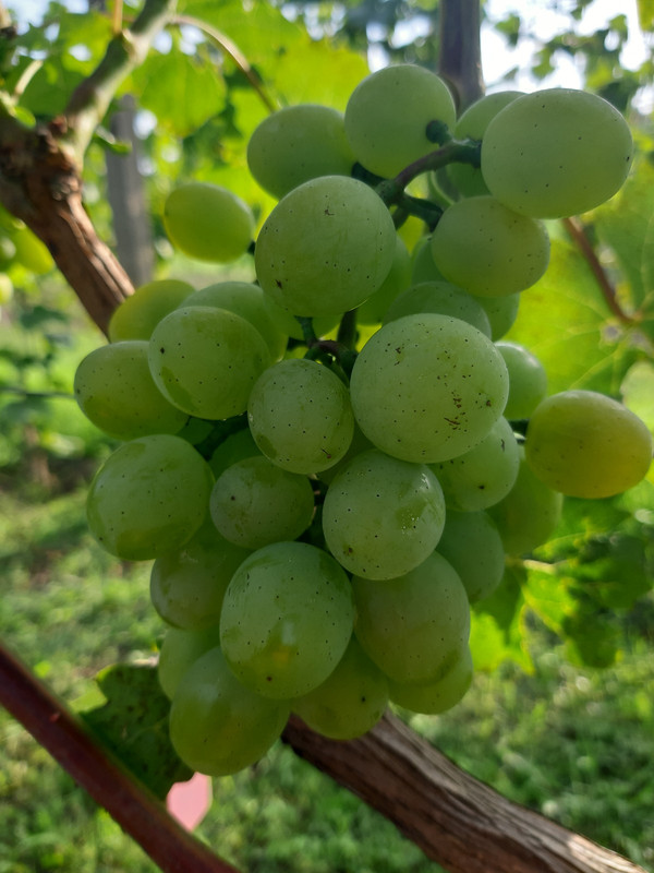 20210812 175620 — Postimages