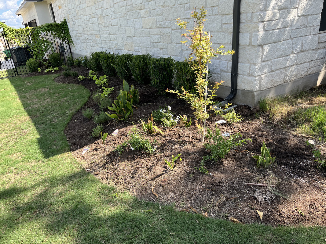 3 B7 EDFA9 6 C2 A 4 BB1 925 D F86382563055 — Postimages