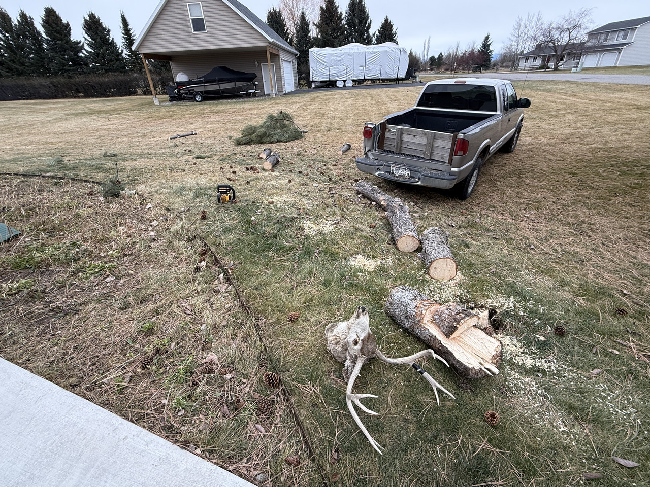 High Wind Damage - 24hourcampfire