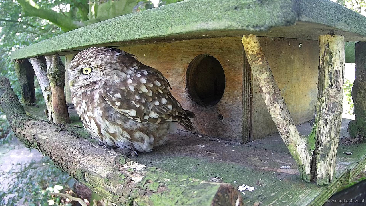 snapshot 930 — Postimages